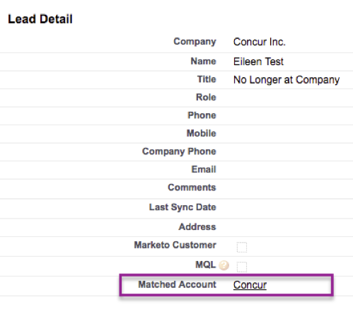 Salesforce: Lead-to-Account Matching Data Activation Flow – Leadspace