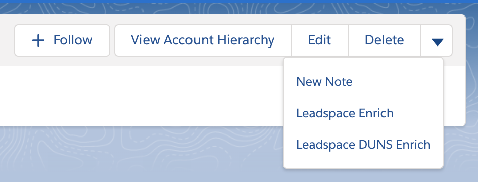 Leadspace for Salesforce: Leadspace Enrich Button – Leadspace